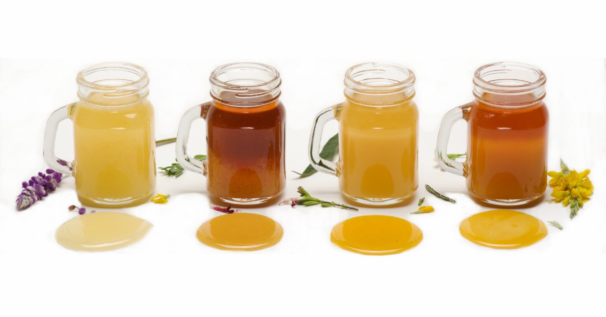 Miel Clara – Sazón Gourmet